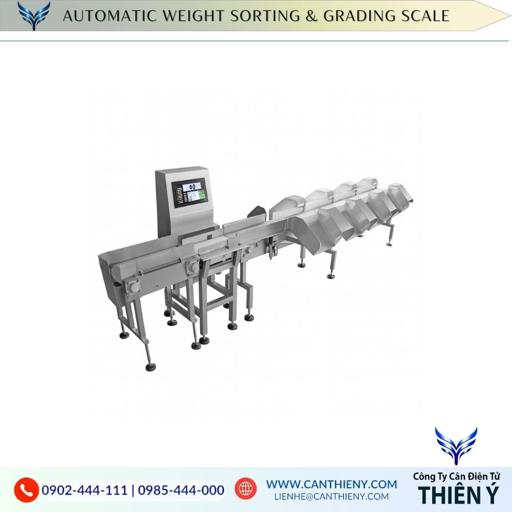 Fish Grading Machine - High Accuracy & Durable | 12-Month Warranty