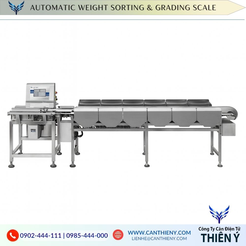 Fruit Sorting Scale - Accurate & Durable | 12-Month Warranty